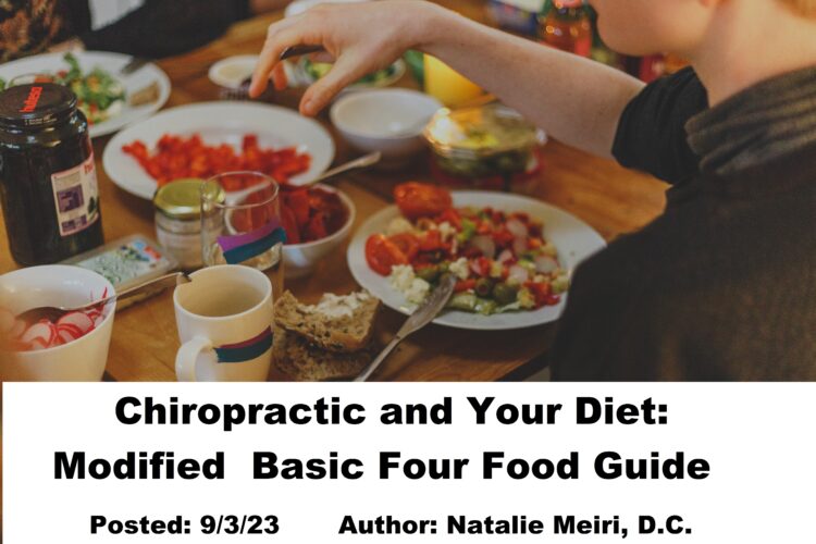 Chiropractic and Your Diet: Modified Basic Four Food Guide