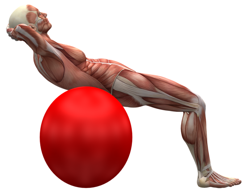 West Palm Beach Chiropractor: Muscle Imbalance Syndrome and Soft Tissue ...